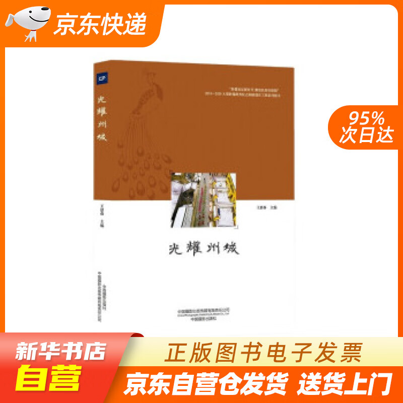 光耀州城 王景春 著 中国摄影出版社 9787517910350 籍