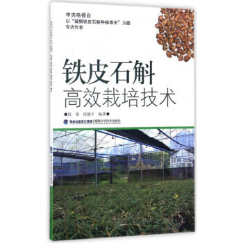 铁皮石斛高效栽培技术