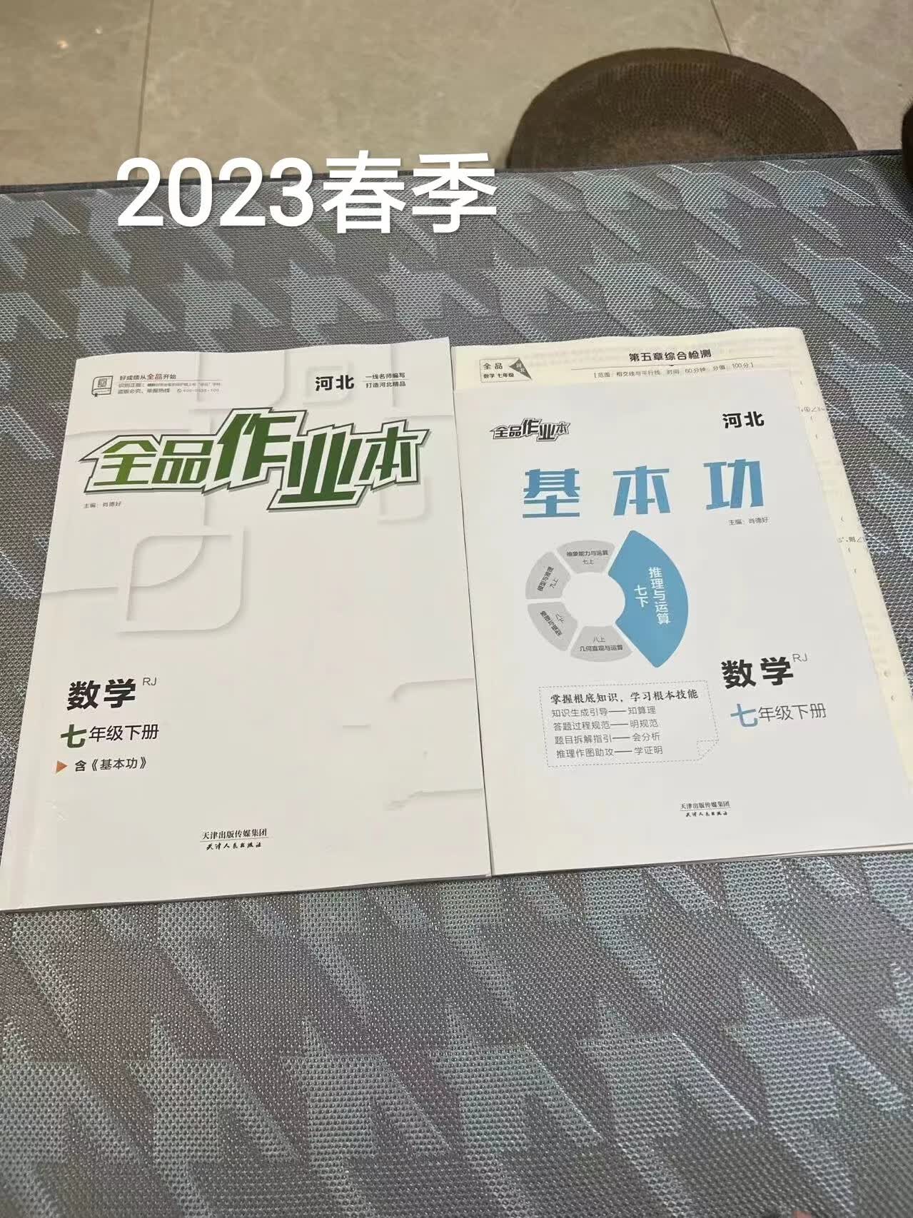 2023春 作业本 数学 七7年级下册 人教版【河北专版】 河北专版