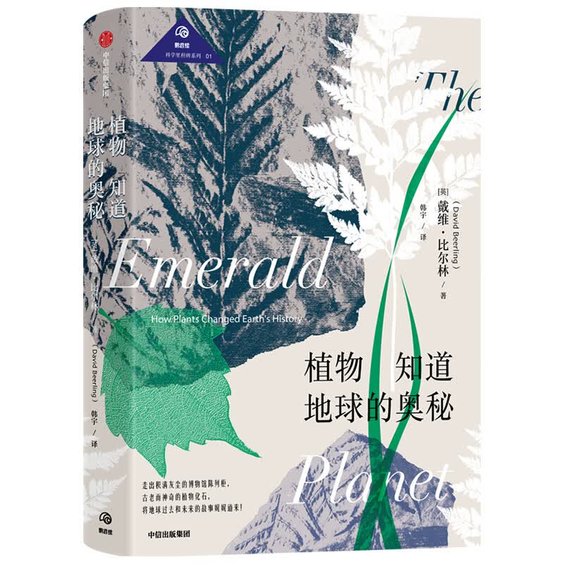 植物知道地球的奥秘 戴维比 林 著 植物化石的迷人发现史 地球奥秘 科普书籍 缤纷的生命 蚂蚁的世界 中信出版社 书