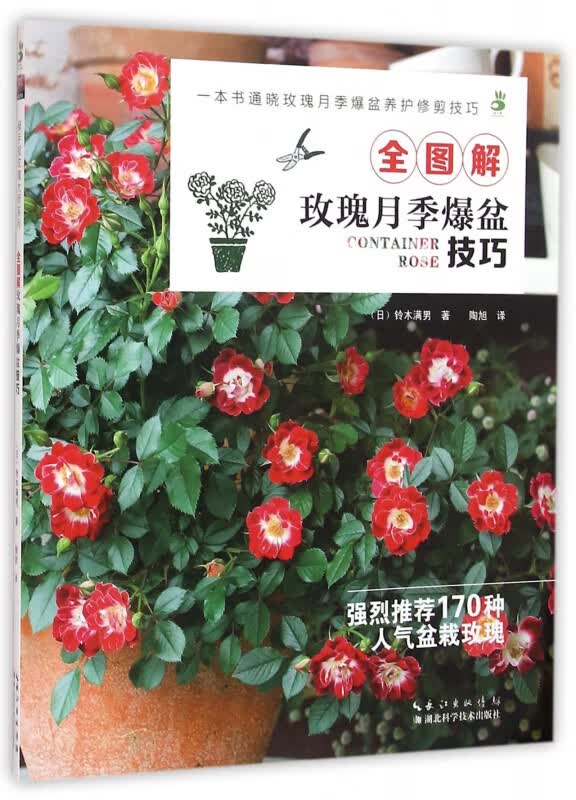 全图解玫瑰月季爆盆技巧