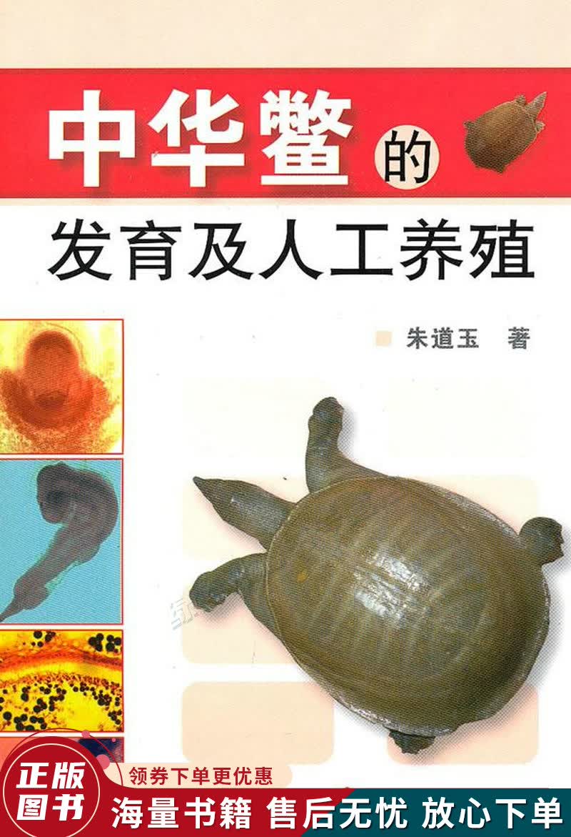 中华鳖的发育及人工养殖