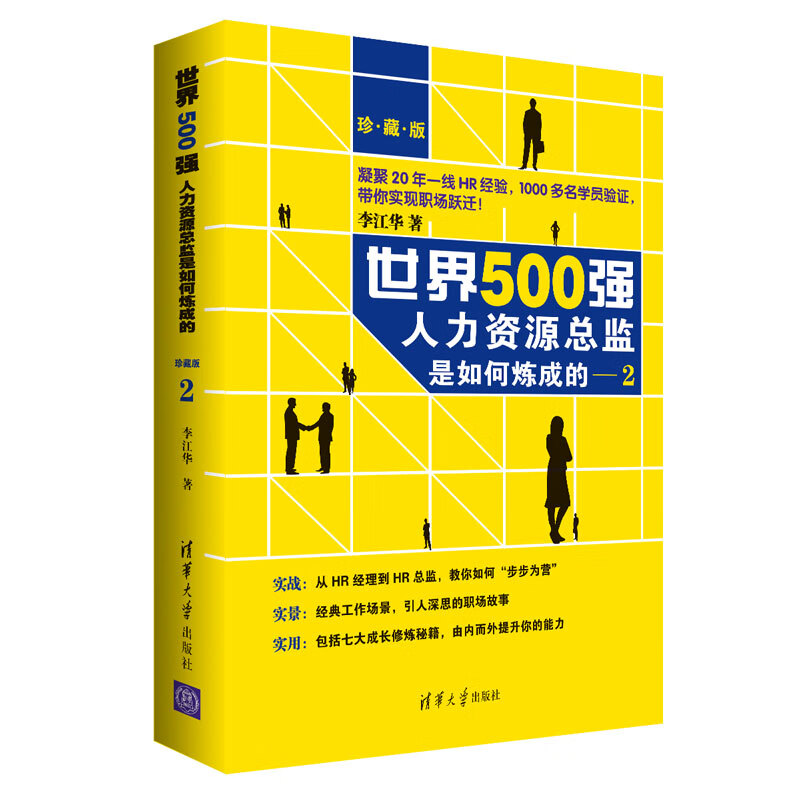 世界500强人力资源总监是如何炼成的：珍藏版2