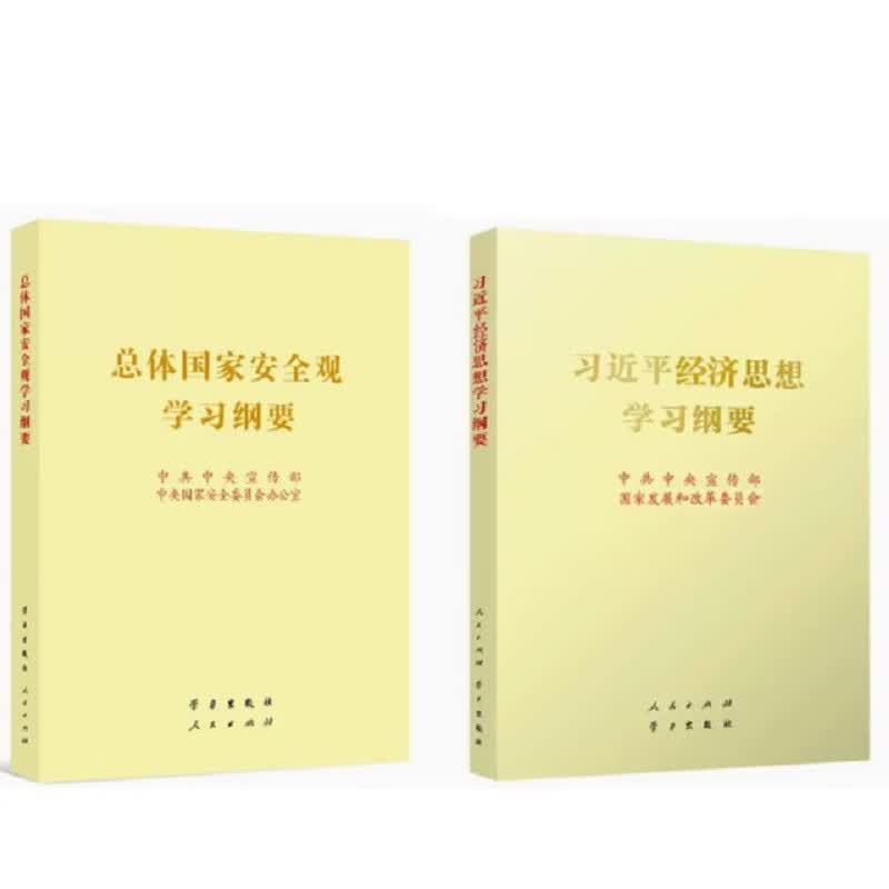 总体国家安全观学习纲要+ 习近平经济思想学习纲要16开 大字本