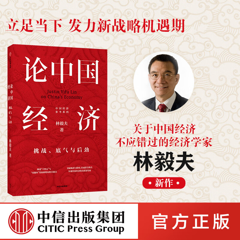 论中国经济 林毅夫 著 【包邮】挑战底气与后劲 解读中国经济 新发展格局 十四五双循环 金融 未来趋势 中信