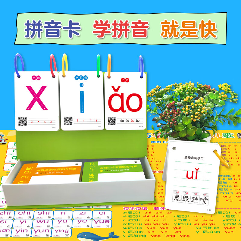 科学分类学拼音卡 幼小衔接学习教材神器启蒙认知早教书籍 声母韵母整体认读音节大卡字母卡 3-6岁小学一年级全套专用教具