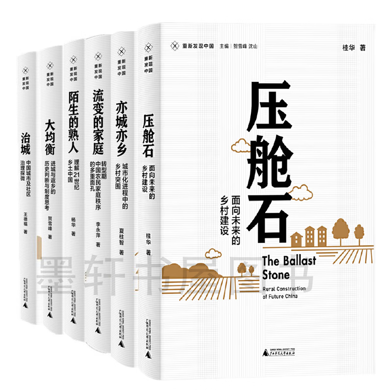 重新发现中国（套装共6册）：大均衡+治城+流变的家庭+陌生的熟人+亦城亦乡+压舱石   广西师范本社