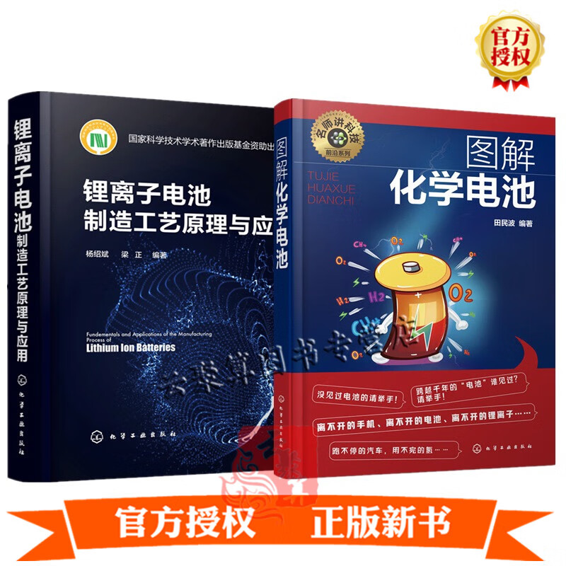 【2册】锂离子电池制造工艺原理与应用+图解化学电池 2册 锂离子电池工程技术生产工艺书 化学电池工作