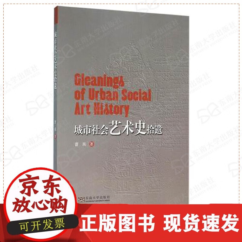 城市社会艺术史拾遗 曹昊 东南大学 合肥工业大学教材