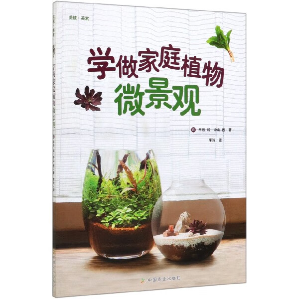 学做家庭植物微景观