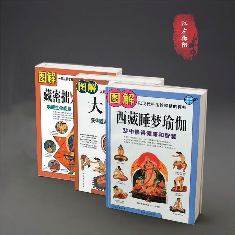 图解西藏睡梦瑜伽+图解大手印+图解藏密拙火禅修法 三本 三本 三本 三本