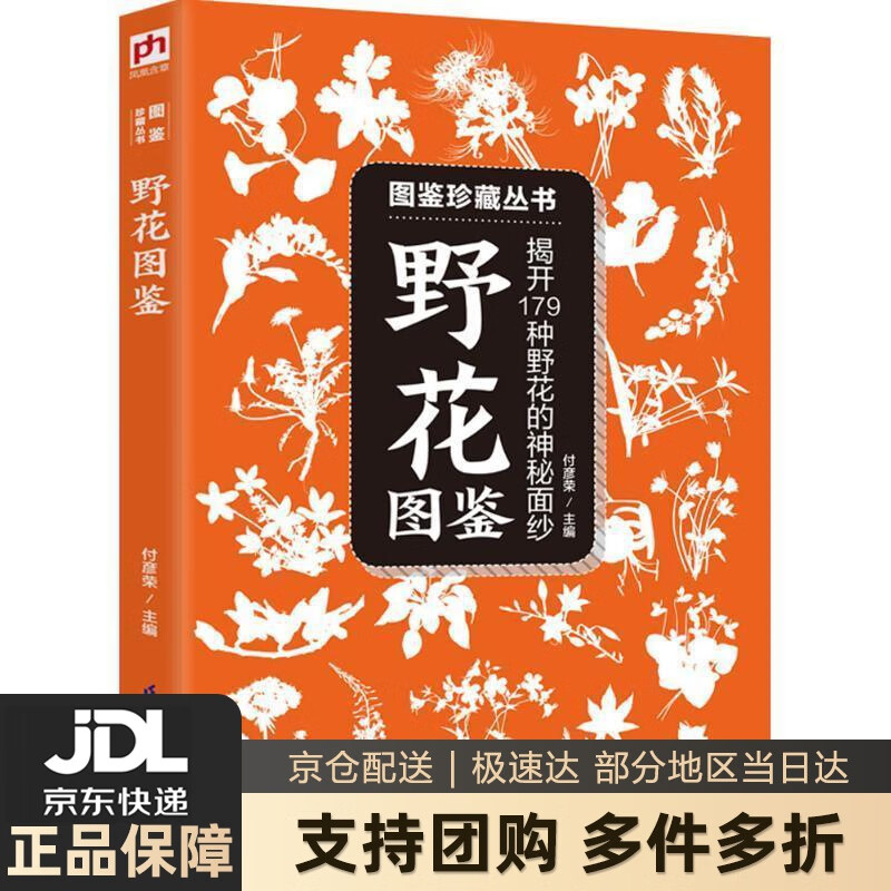 【 送货上门】野花图鉴