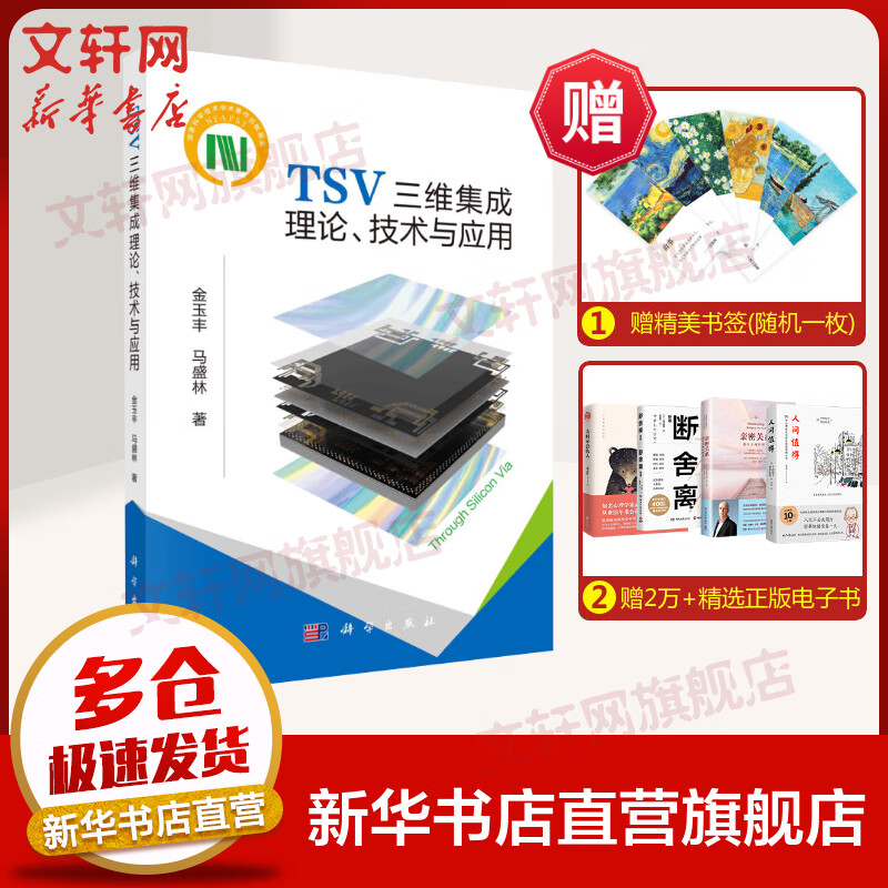 TSV三维集成理论、技术与应用 图书
