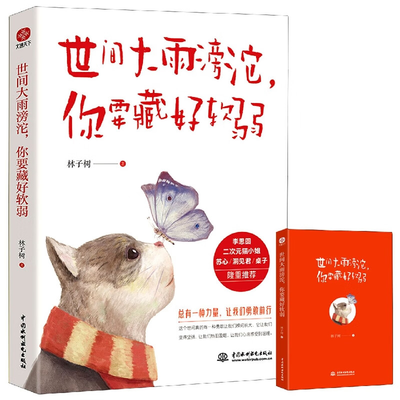 世间大雨滂沱你要藏好软弱