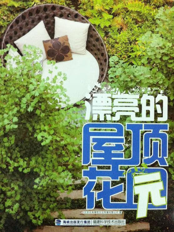 漂亮的屋顶花园