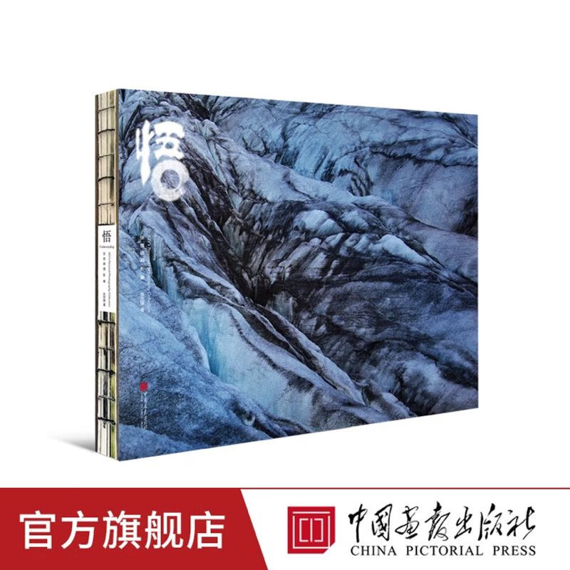 悟 张世旗集 摄影艺术书籍图书