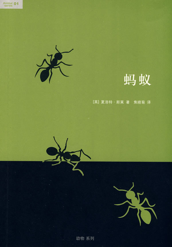 蚂蚁