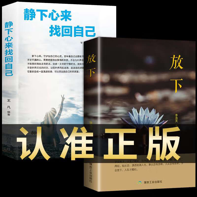 速发 2册放下书籍静下心来找回自己人生哲学通俗读物爱上生命中的青春励志书做心灵鸡汤正能量心态哲学 标准 #20
