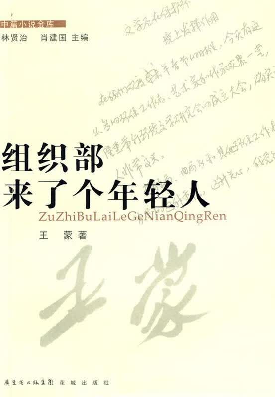 组织部来了个年轻人【好书，下单速发】