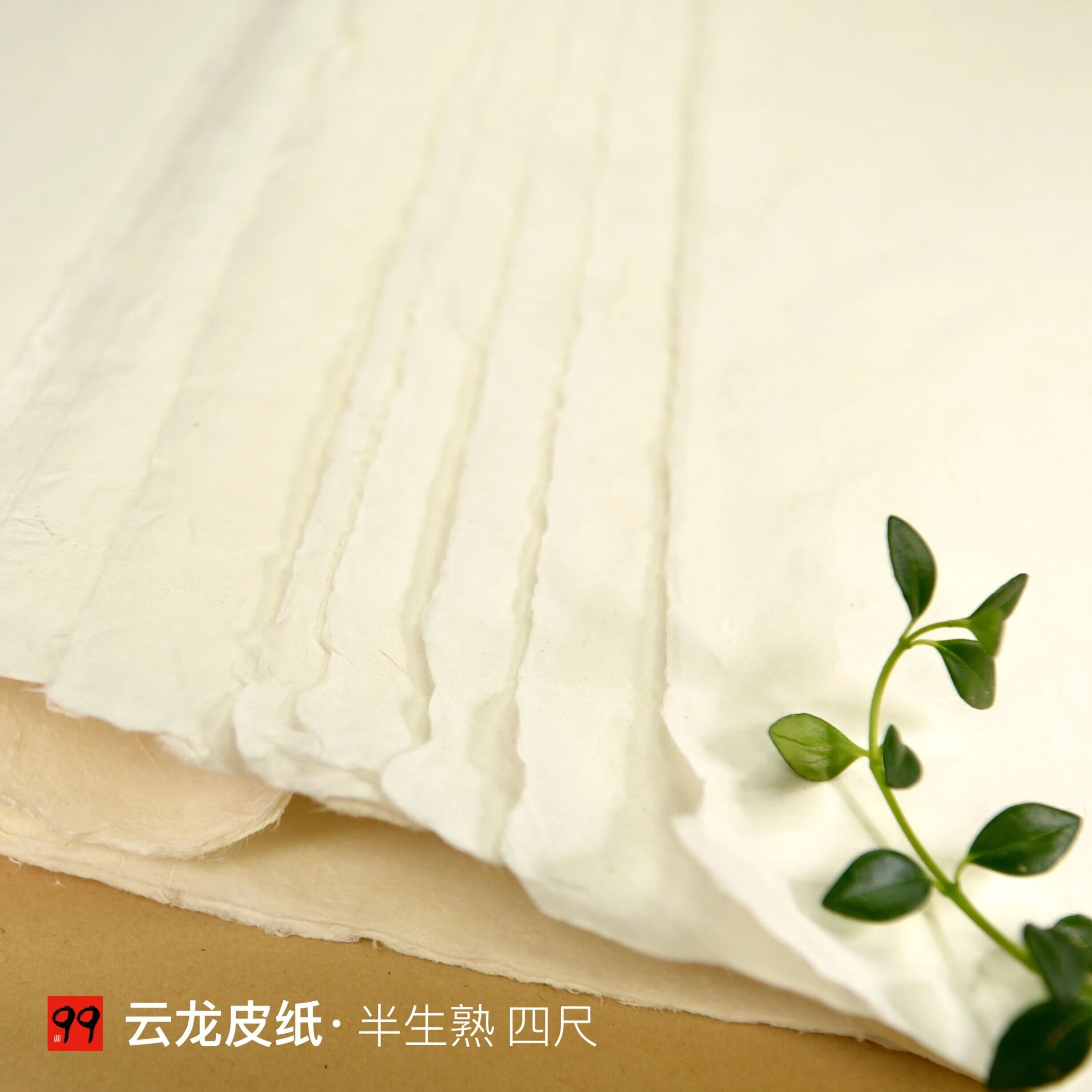 【纸】云龙皮纸· 半生熟四尺