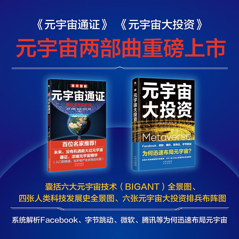 元宇宙通证 元宇宙大投资套装（全2册）