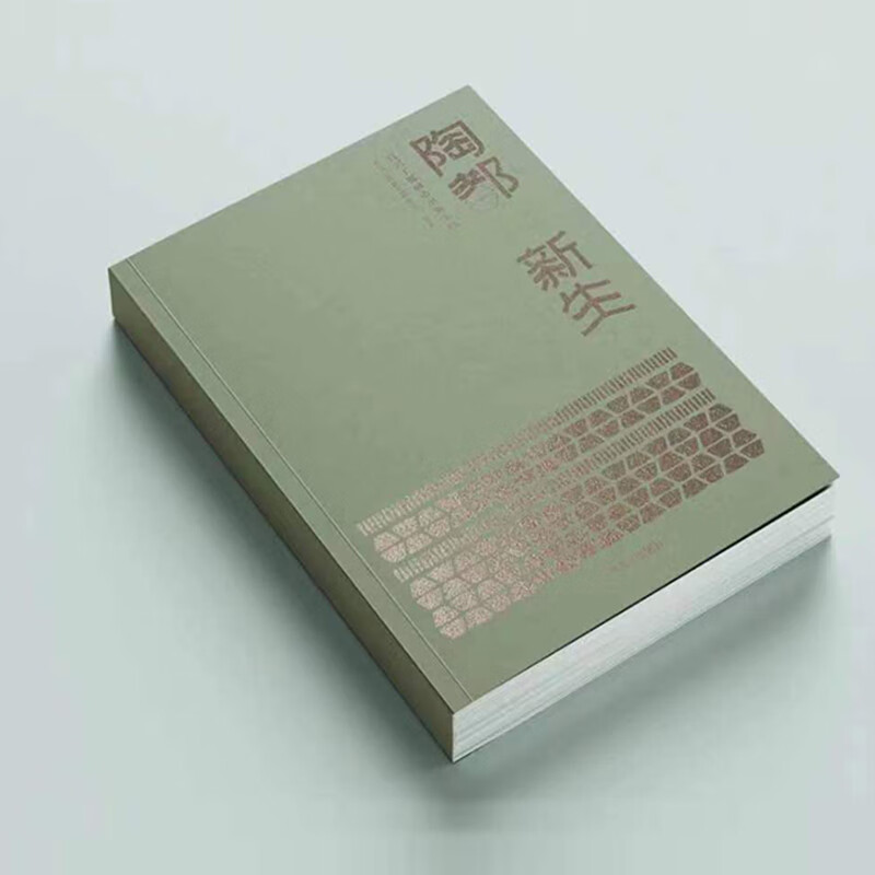 陶都新生:宜兴丁蜀城市更新实践