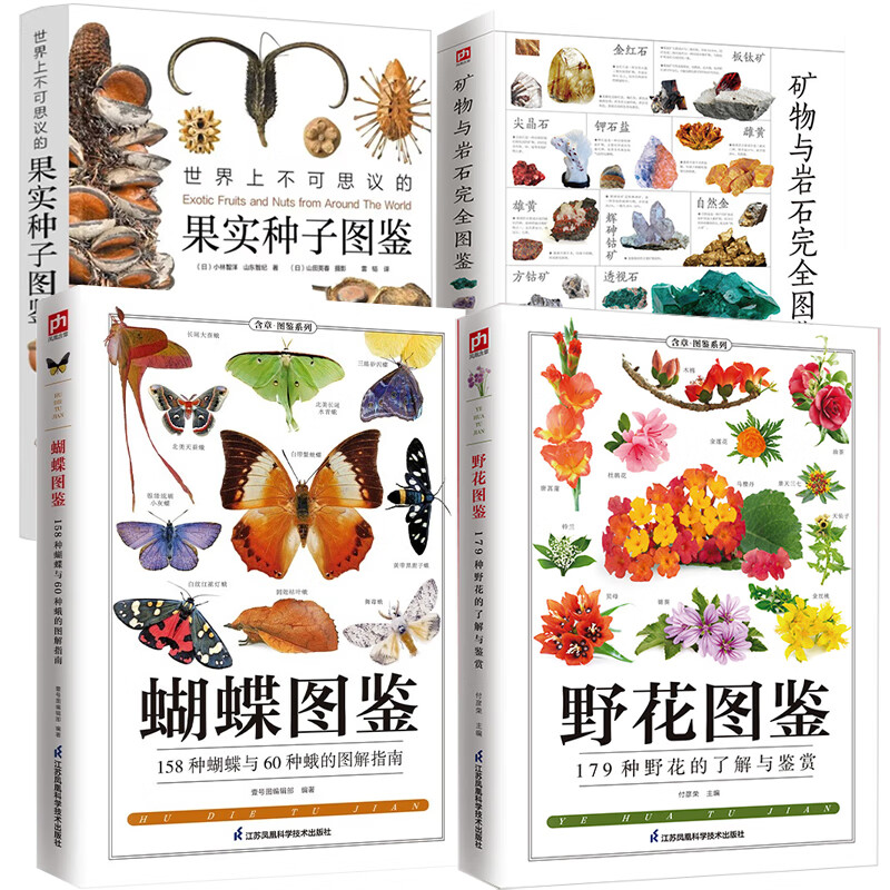 【全4册】世界上不可思议的果实种子图鉴+蝴蝶图鉴+矿物与岩石完全图鉴+野花图鉴 全新图解版植物形态生长习性书籍蝴蝶分类生物学