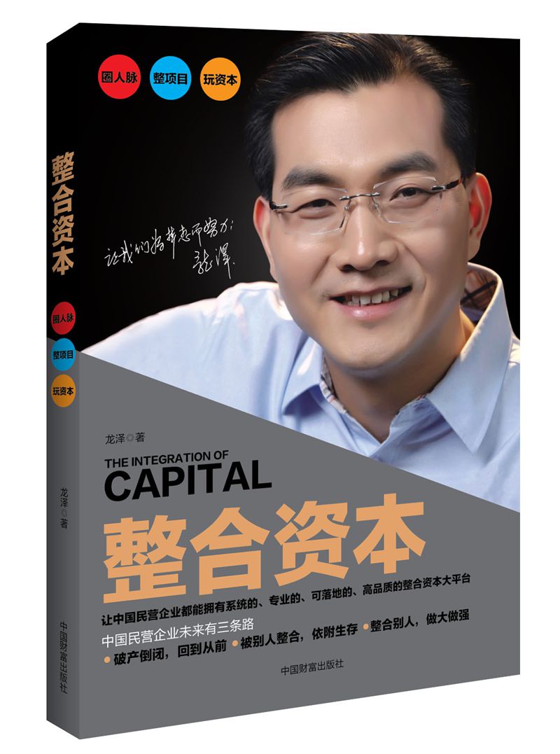 整合资本 龙泽著
