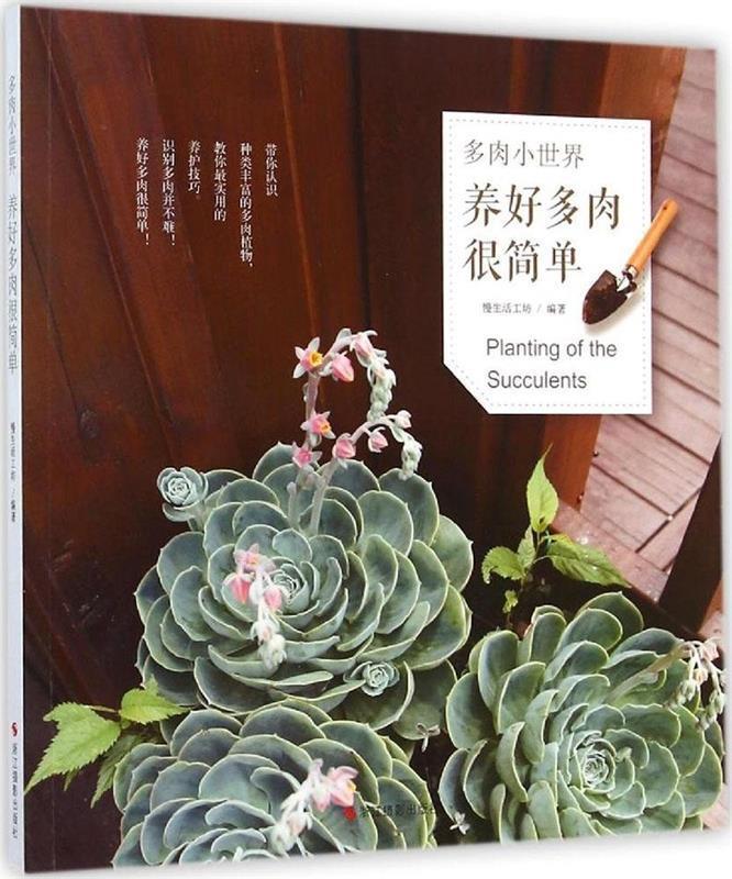 养好多肉很简单