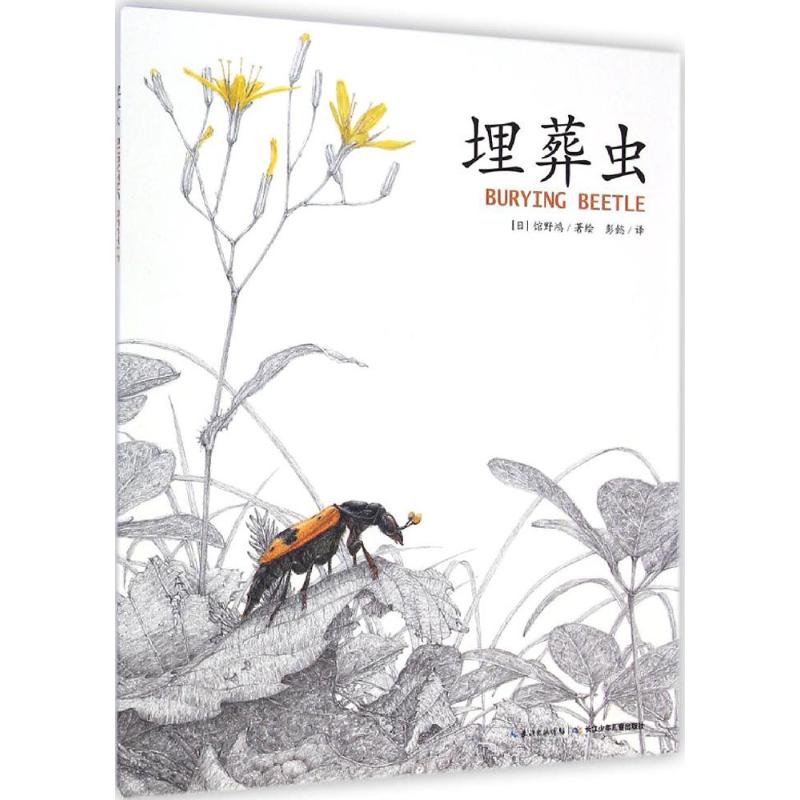 埋葬虫【特惠】
