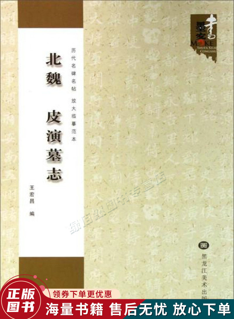 历代名碑名帖·放大临摹范本：北魏皮演墓志