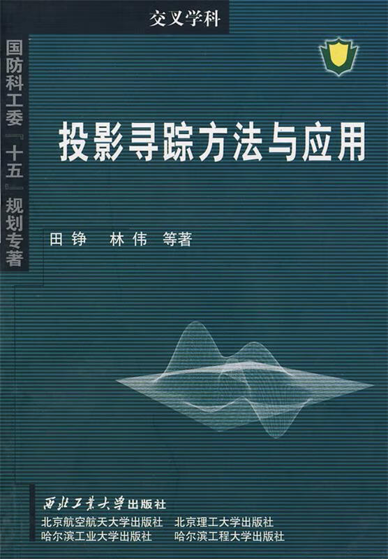 【现货】投影寻踪方法与应用