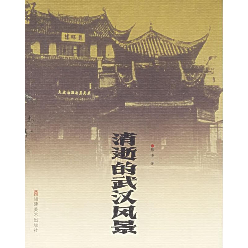 消逝的武汉风景 福建美术出版社