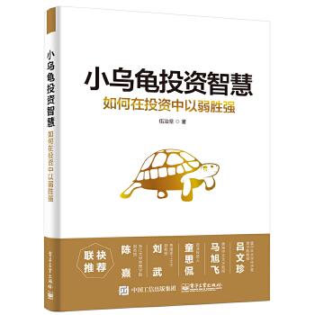 小乌龟投资智慧:如何在投资中以弱胜强 伍治坚