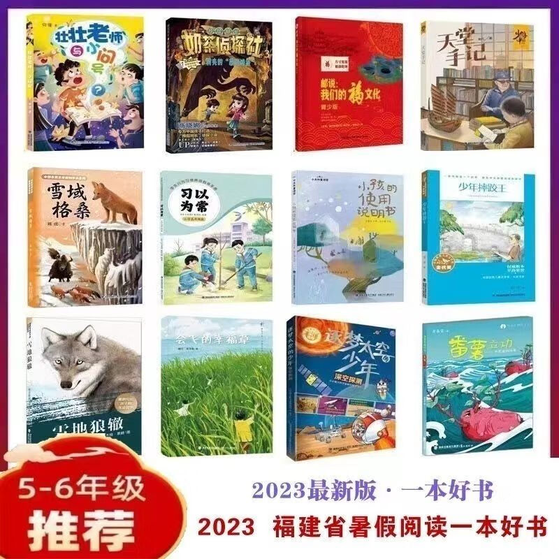 5-6年级2023年暑假读一本好书社雪域格桑全套共12册 红色