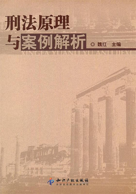 刑法原理与案例解析