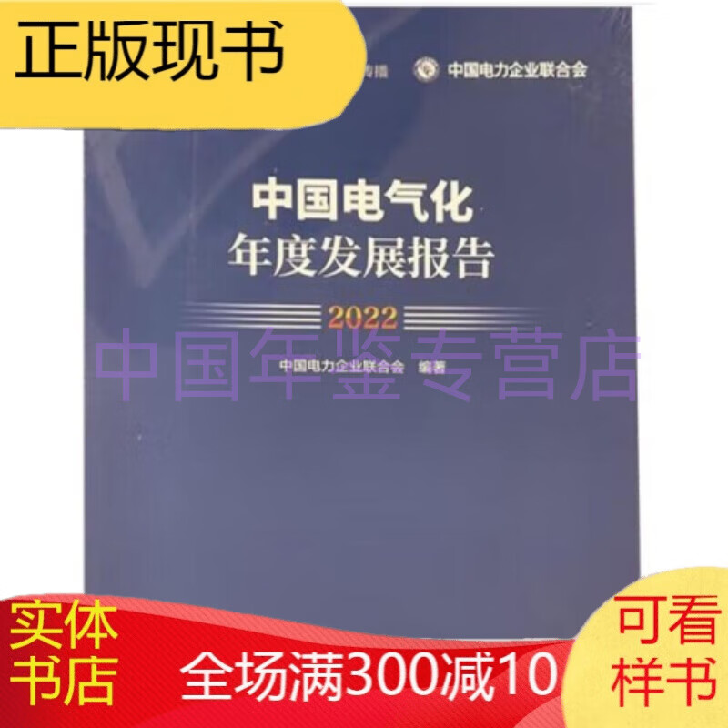 中国电力 中国电气化年度发展报告2022