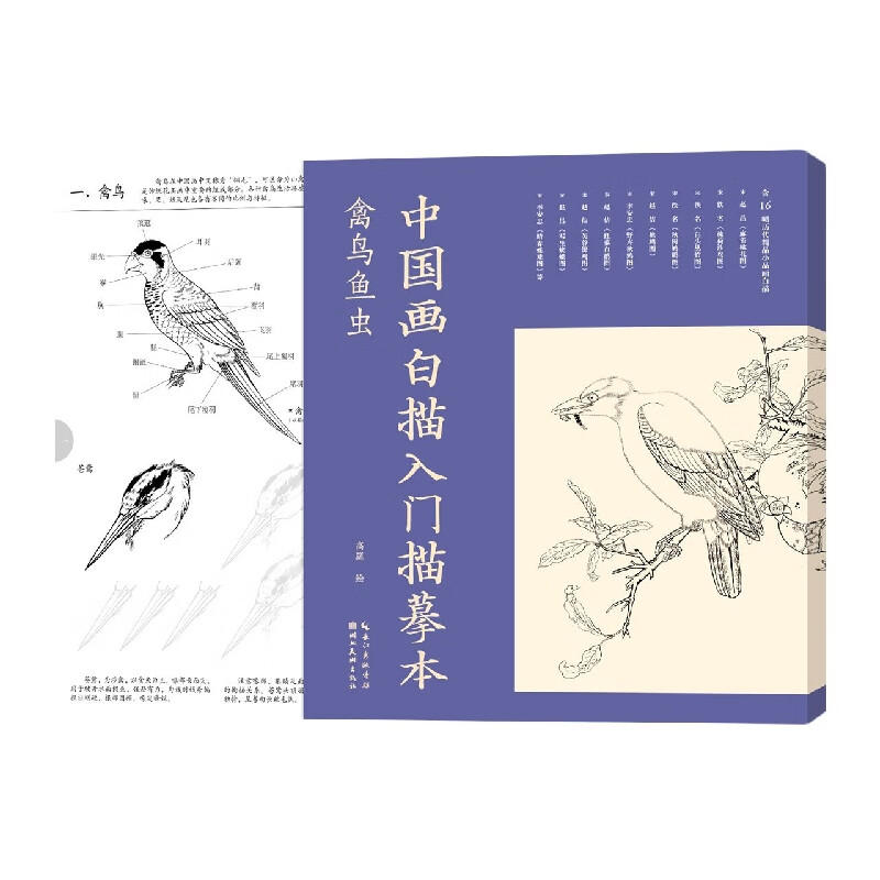 中国画白描入门描摹本. 禽鸟鱼虫