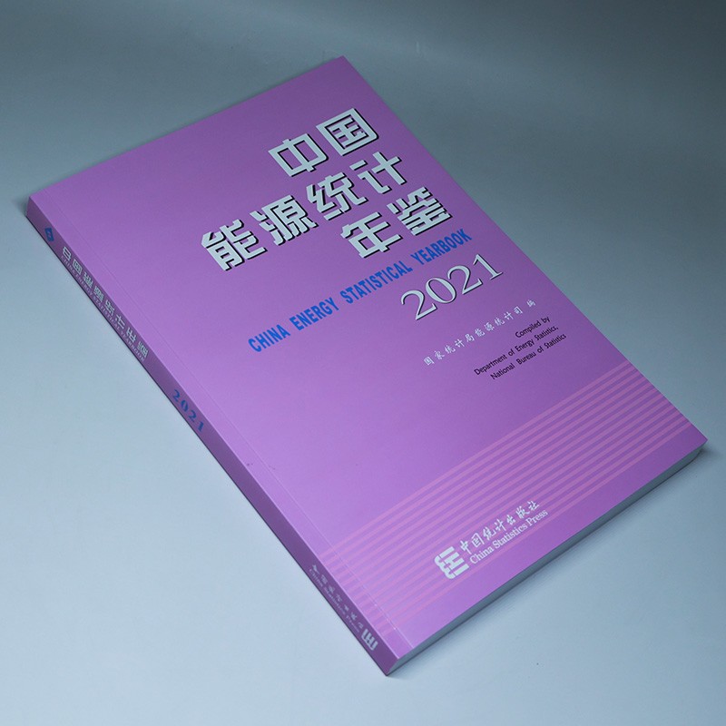 能源与电力系列 中国能源统计年鉴2021