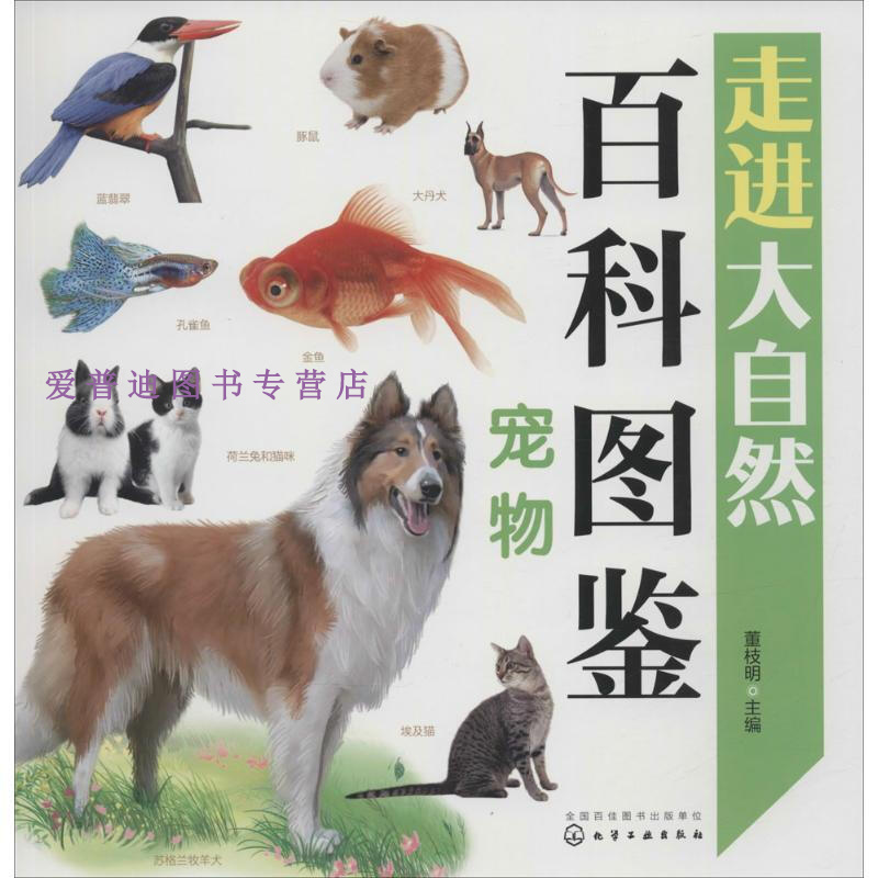 宠物 董枝明【好书，下单速发】