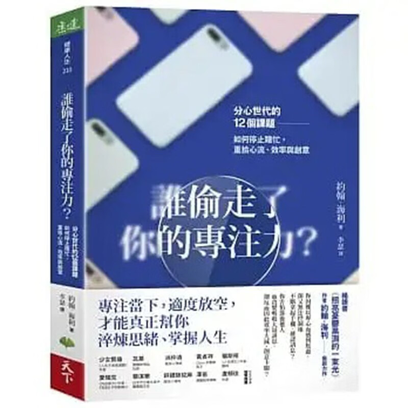 台版 谁偷走了你的专注力 天下生活 约翰 海利 分心世代的12个课题停止瞎忙重拾心流效率与创意励志成功书籍