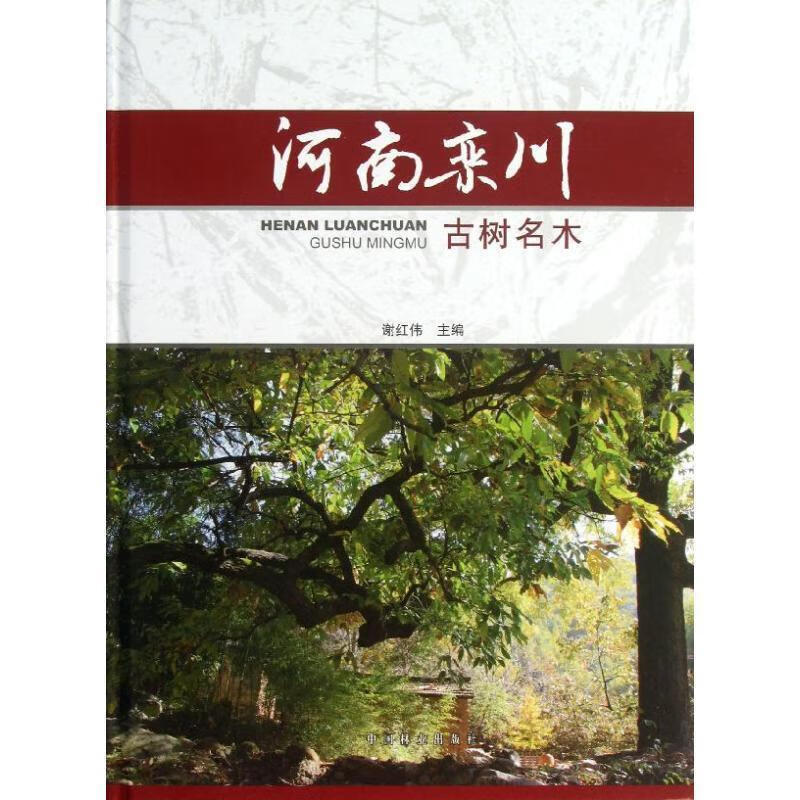 河南栾川古树名木
