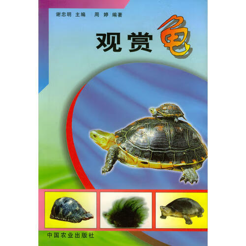 【书】观赏龟