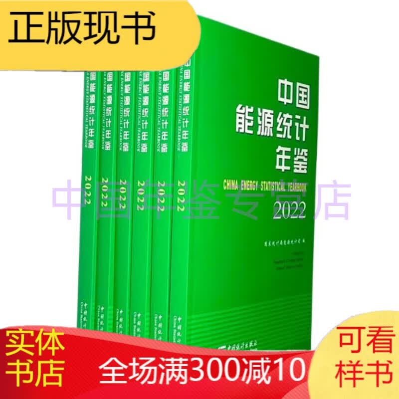 电子版资料 中国能源统计年鉴2022