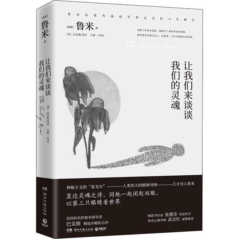 让我们来谈谈我们的灵魂 鲁米精选诗集 张德芬武志红 外国现当代文学散文诗歌散文诗集书籍