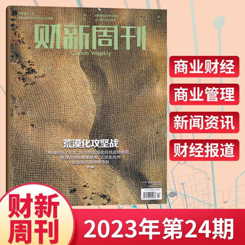 【33期怎样消化地方债】财新周刊杂志2023年33期现货 商业财经新闻金融咨询类期刊杂志 2023年24期 给电网定价