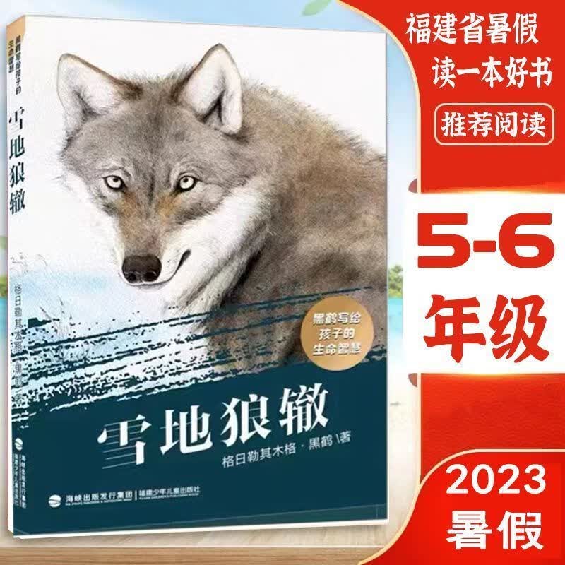 2023年暑假一本好书 5-6年级【全套共12册 】省通用 雪地狼辙