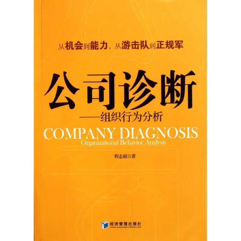 公司诊断-组织行为分析