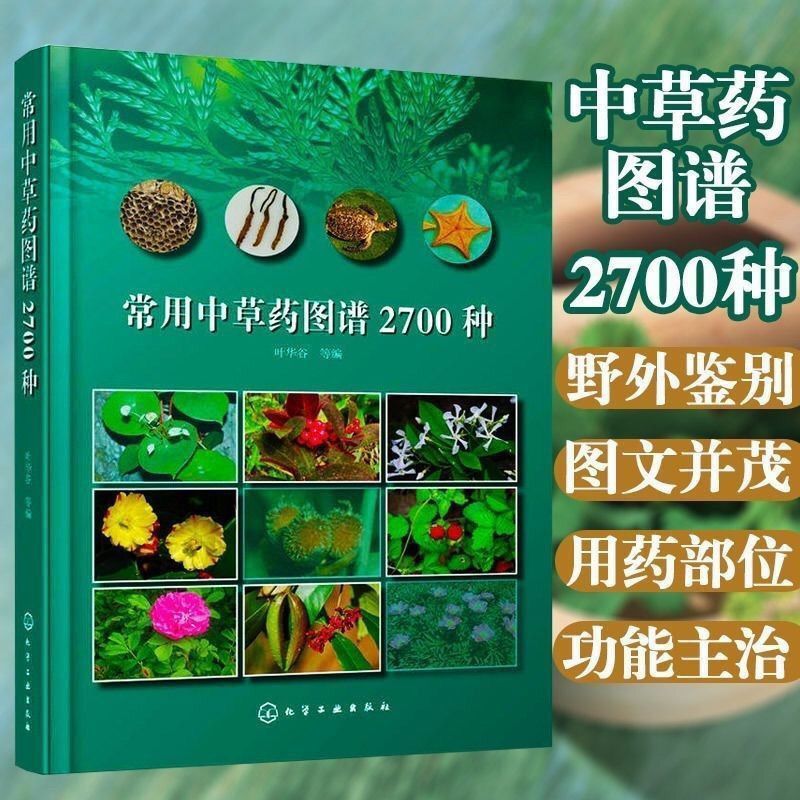 常用中草药图谱2700种 叶华谷 中草药 图谱 草药 图谱
