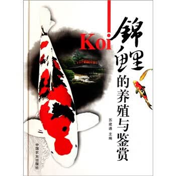 锦鲤的养殖与鉴赏